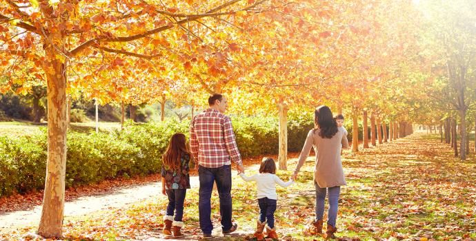 Navigating Our Health: Top 5 Things to do at Thanksgiving | Beebe ...